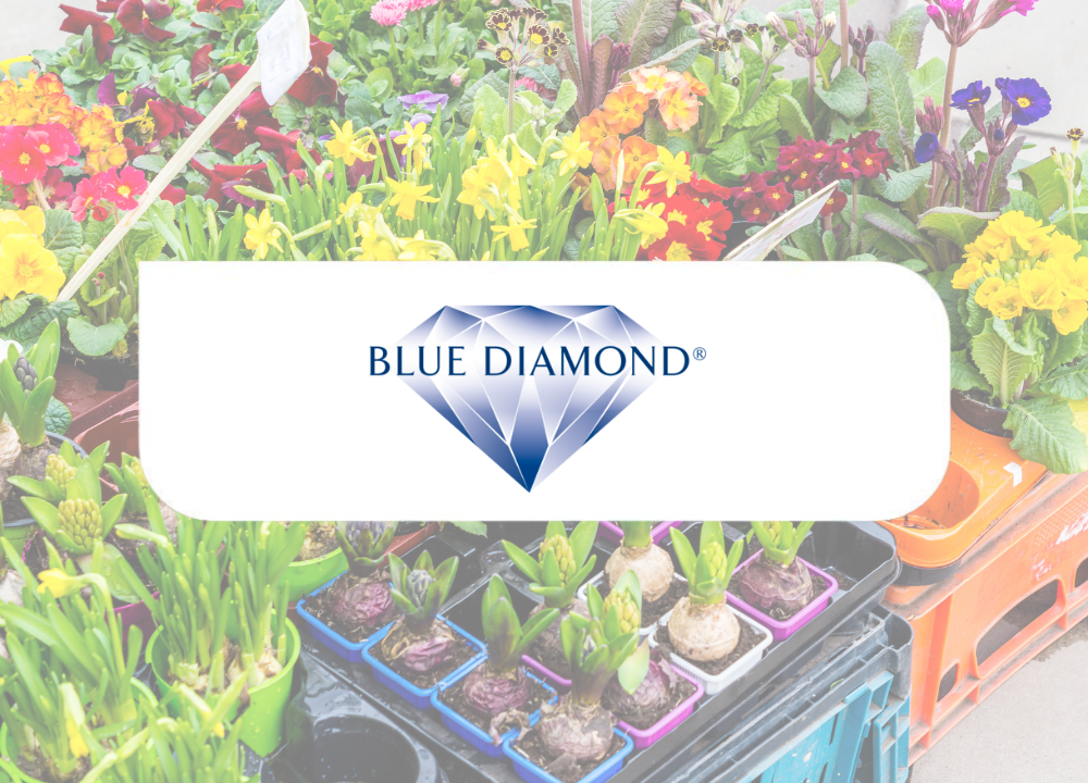 Blue Diamond Upgrade their Customer Interactions with Goodays